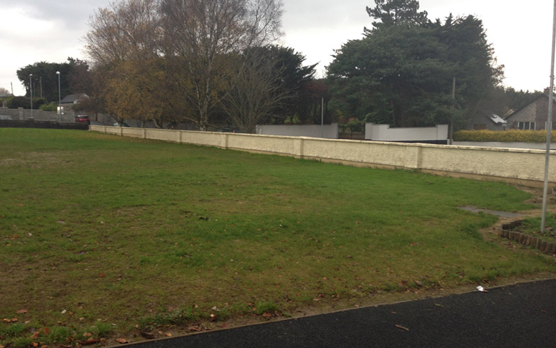 Parteen NS and X-Treme Sports Grass