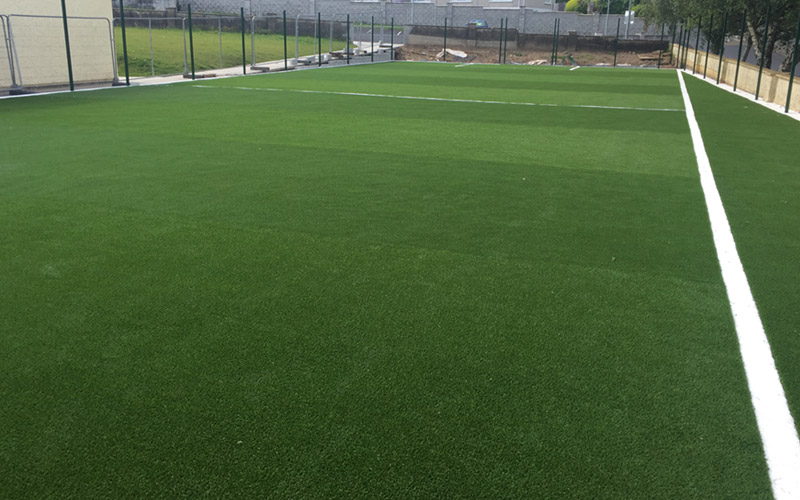 Parteen NS and X-Treme Sports Grass